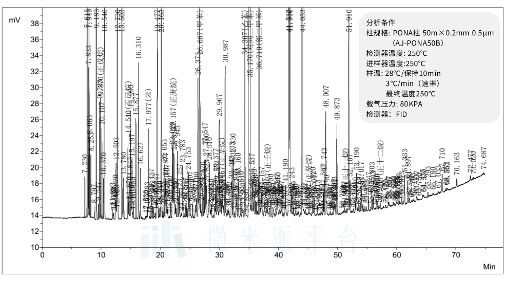 PONA分析专用色谱柱 - 微米派平台